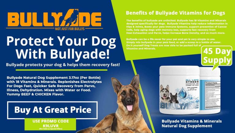 How to Rehydrate a Dog at Home - Bullyade.com